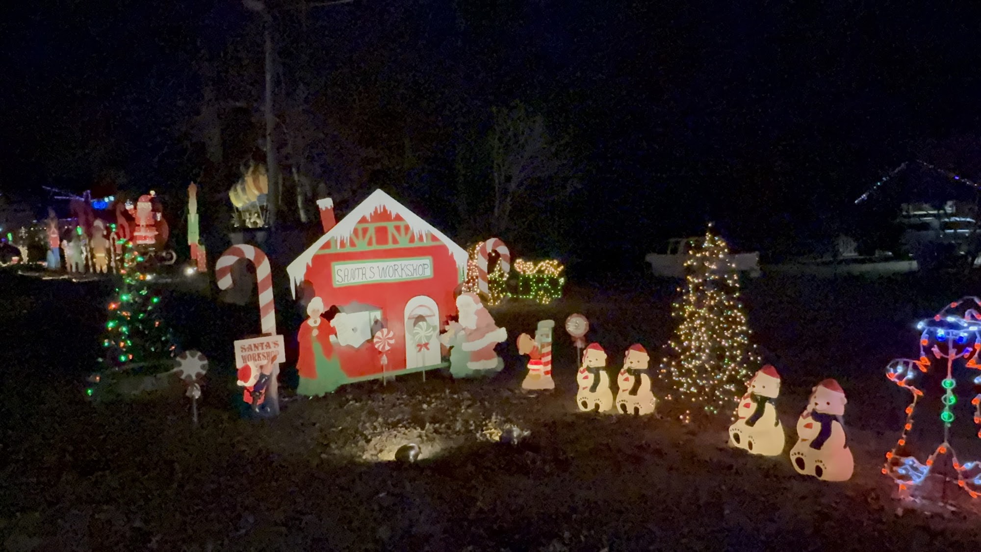 Gaddy's Christmas Light Display - Lighting store in Fayetteville - Website